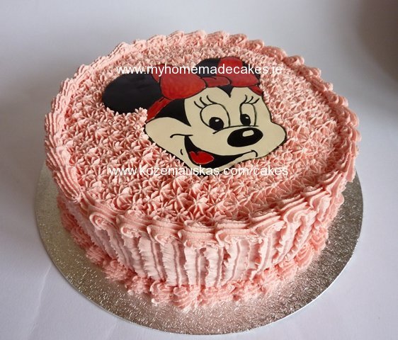 Mini Mouse cake | Kozeniauskas.com